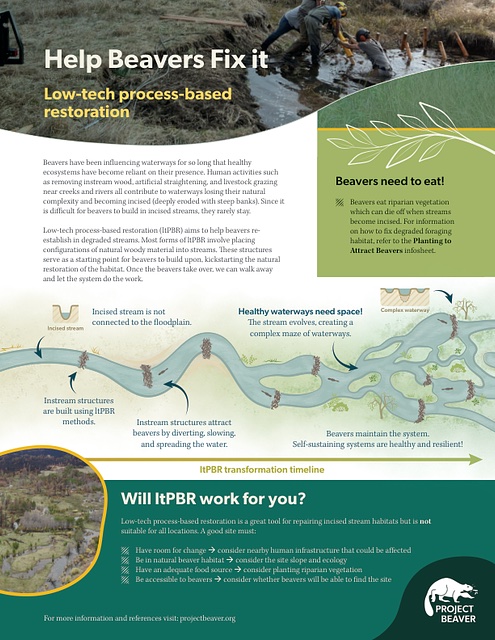 Help_Beavers_Fix_It_2025 – Project Beaver